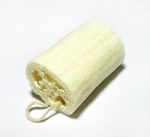 How to prepare and eat Loofah | Global Table Adventure