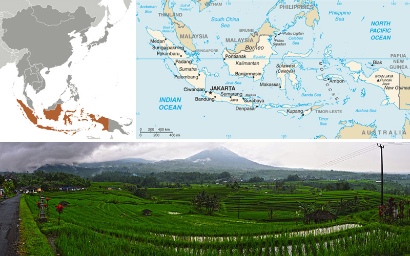 About the food of Indonesia | Global Table Adventure