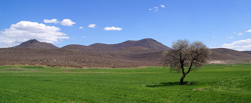 About the food of Turkey | Global Table Adventure