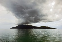 Sweet Potato Simboro | Global Table Adventure